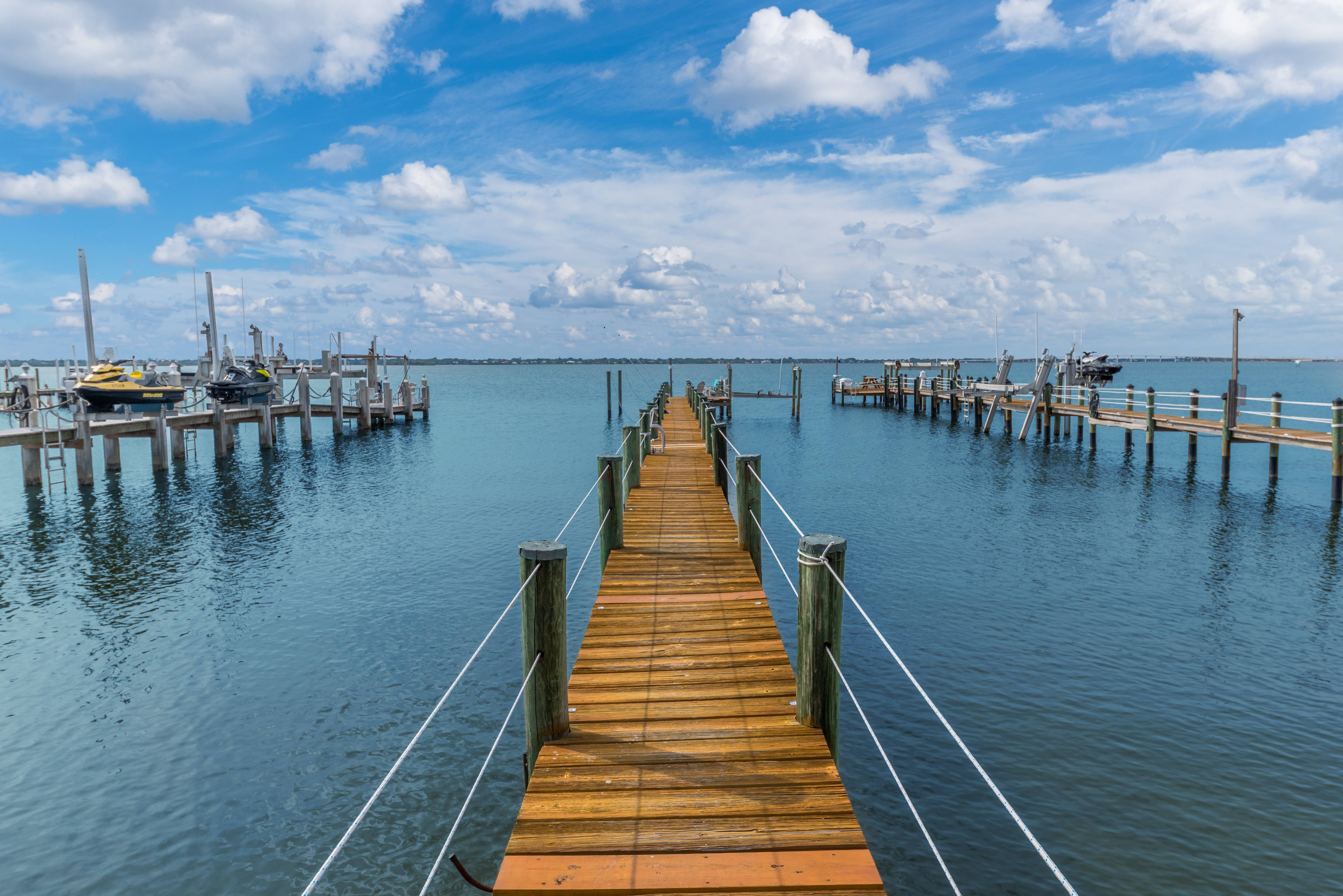 The Diverse Estuary of the Indian River Lagoon – Beach Houses In Paradise