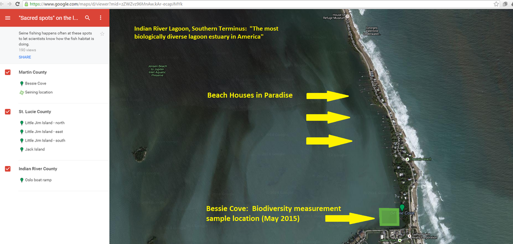 The Diverse Estuary of the Indian River Lagoon – Beach Houses In Paradise