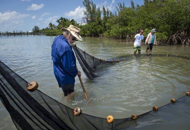 The Diverse Estuary of the Indian River Lagoon – Beach Houses In Paradise